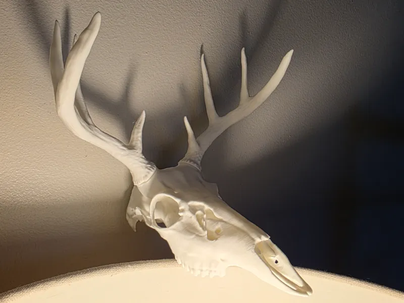 dtm247 | Published - MakerWorld