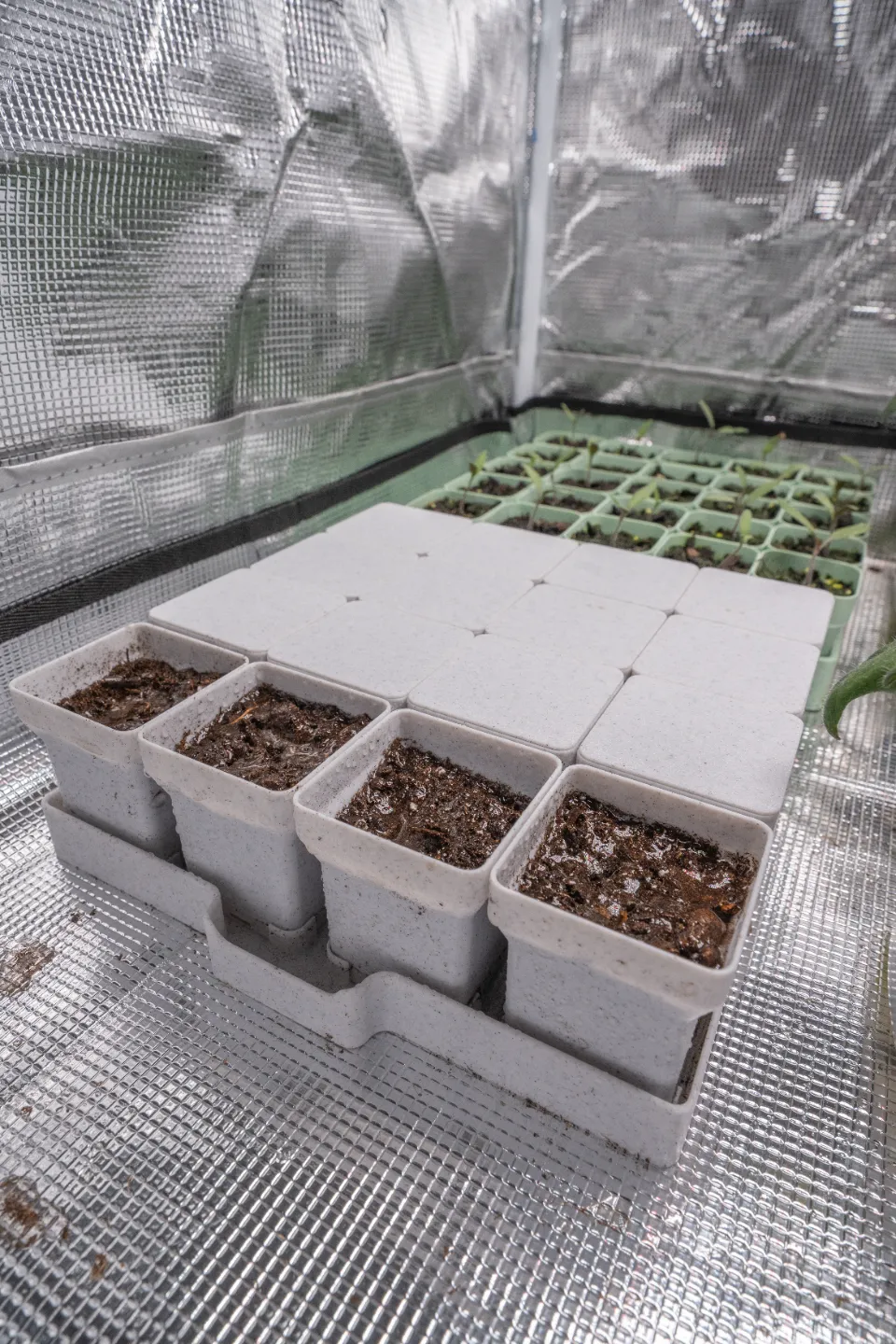 Seed starting system - 4x4 pots with lid by Skylake Labs MakerWorld ...