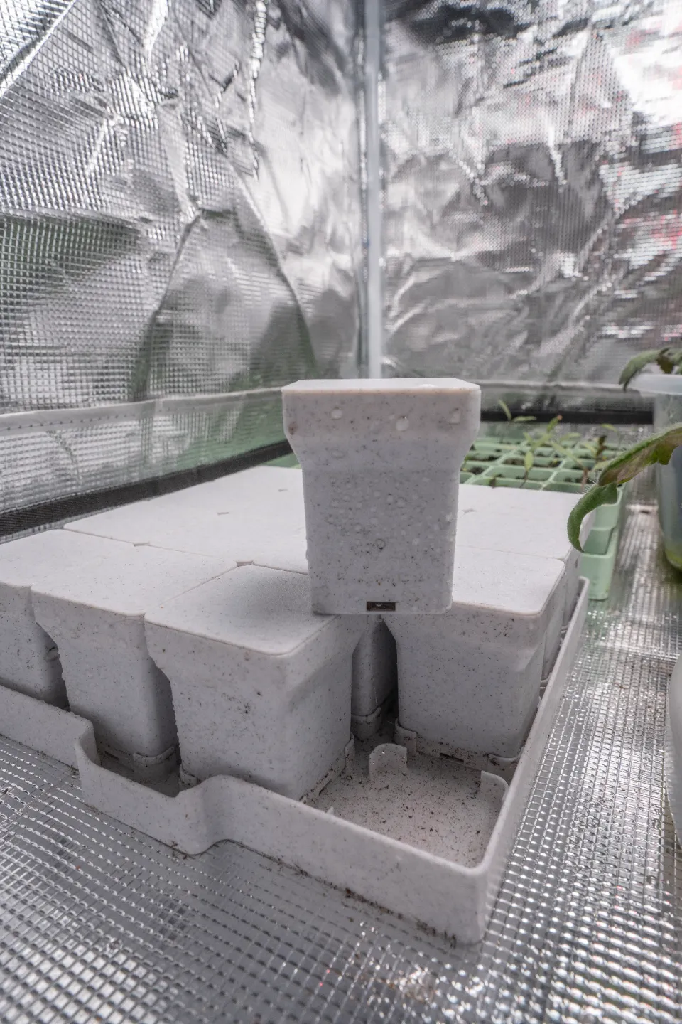 Seed starting system - 4x4 pots with lid by Skylake Labs MakerWorld ...