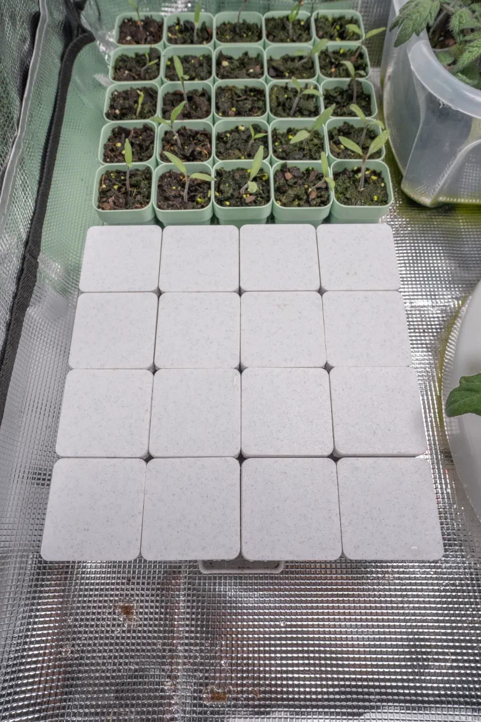 Seed starting system - 4x4 pots with lid by Skylake Labs MakerWorld ...