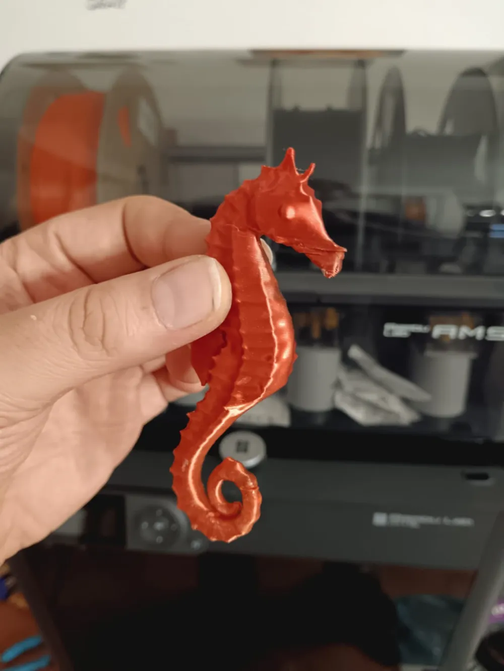 Detailed 3D Model of a Seahorse for sea lovers - Free 3D Print Model ...