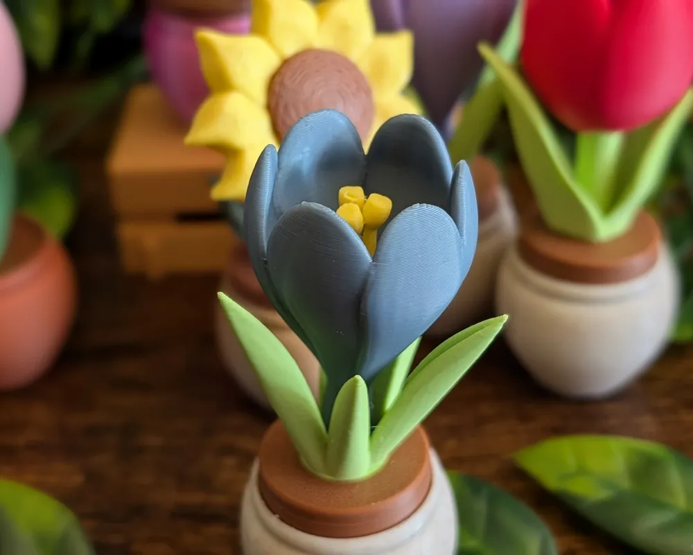 Saffron (Crocus) Clicker by Cs MakerWorld: Download Free 3D Models