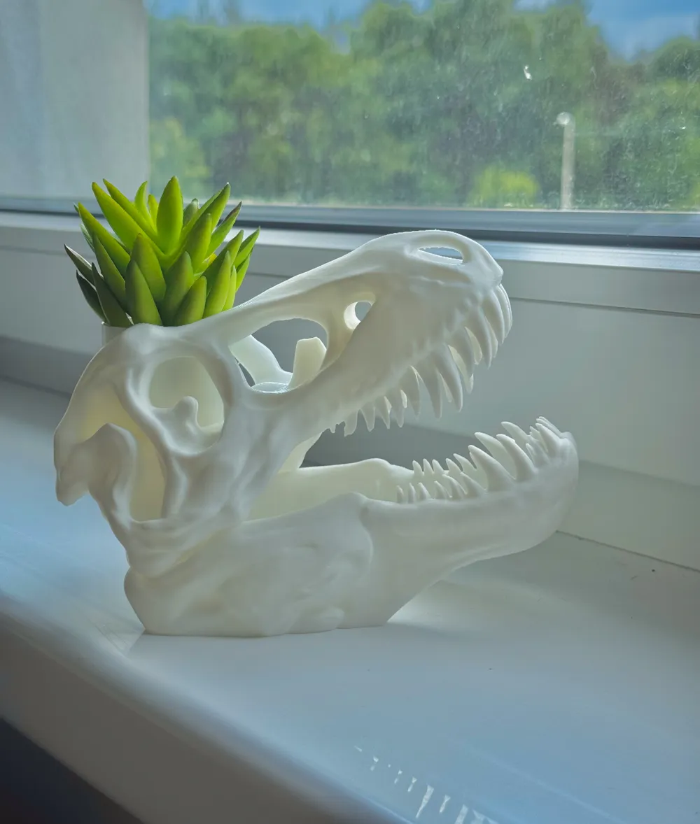 The T-Rex skeleton Planter / Pot by Tibka MakerWorld: Download Free 3D ...
