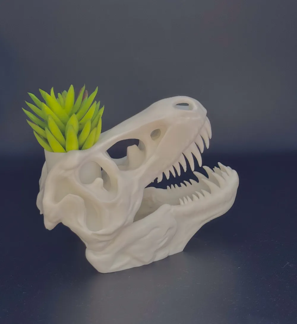 The T-Rex skeleton Planter / Pot by Tibka MakerWorld: Download Free 3D ...