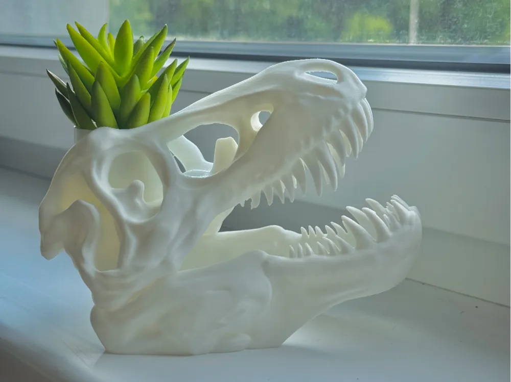 The T-Rex skeleton Planter / Pot by Tibka MakerWorld: Download Free 3D ...