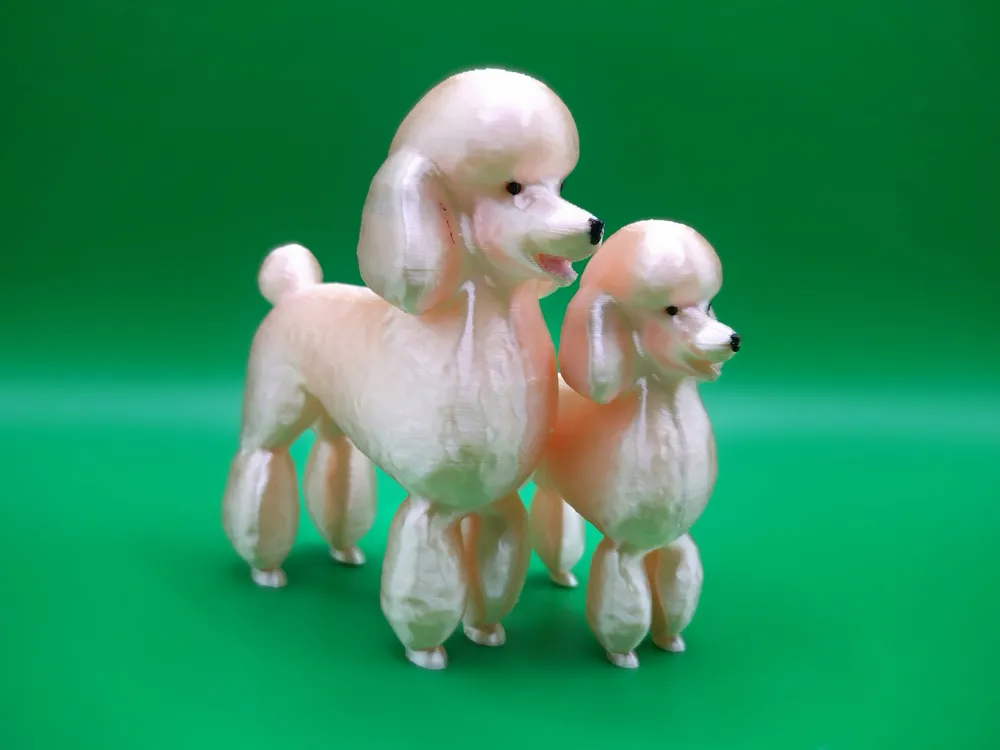 Poodle - Free 3D Print Model - MakerWorld