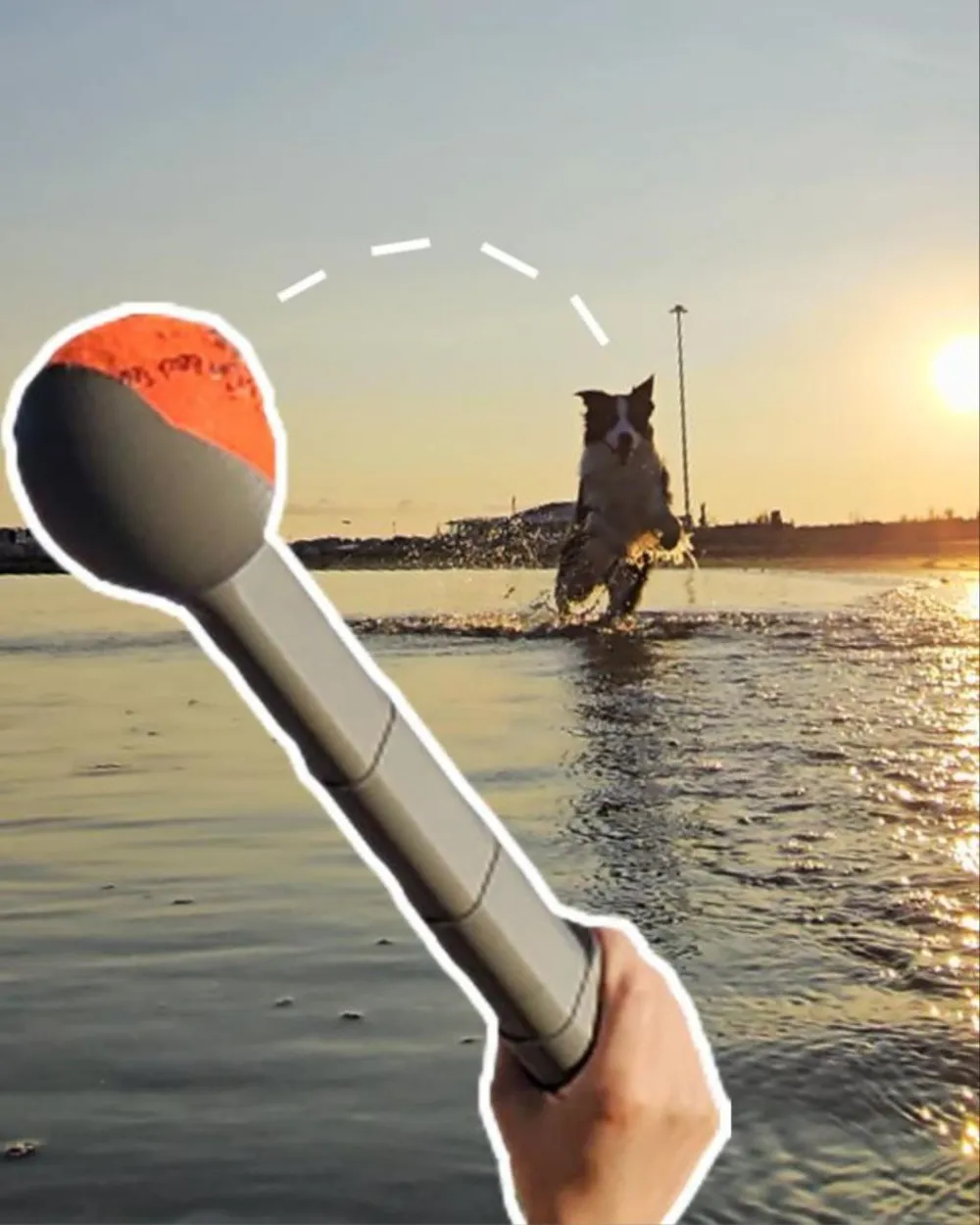 Extendable Dog Toy - Ball Launcher Thrower by Robota - MakerWorld