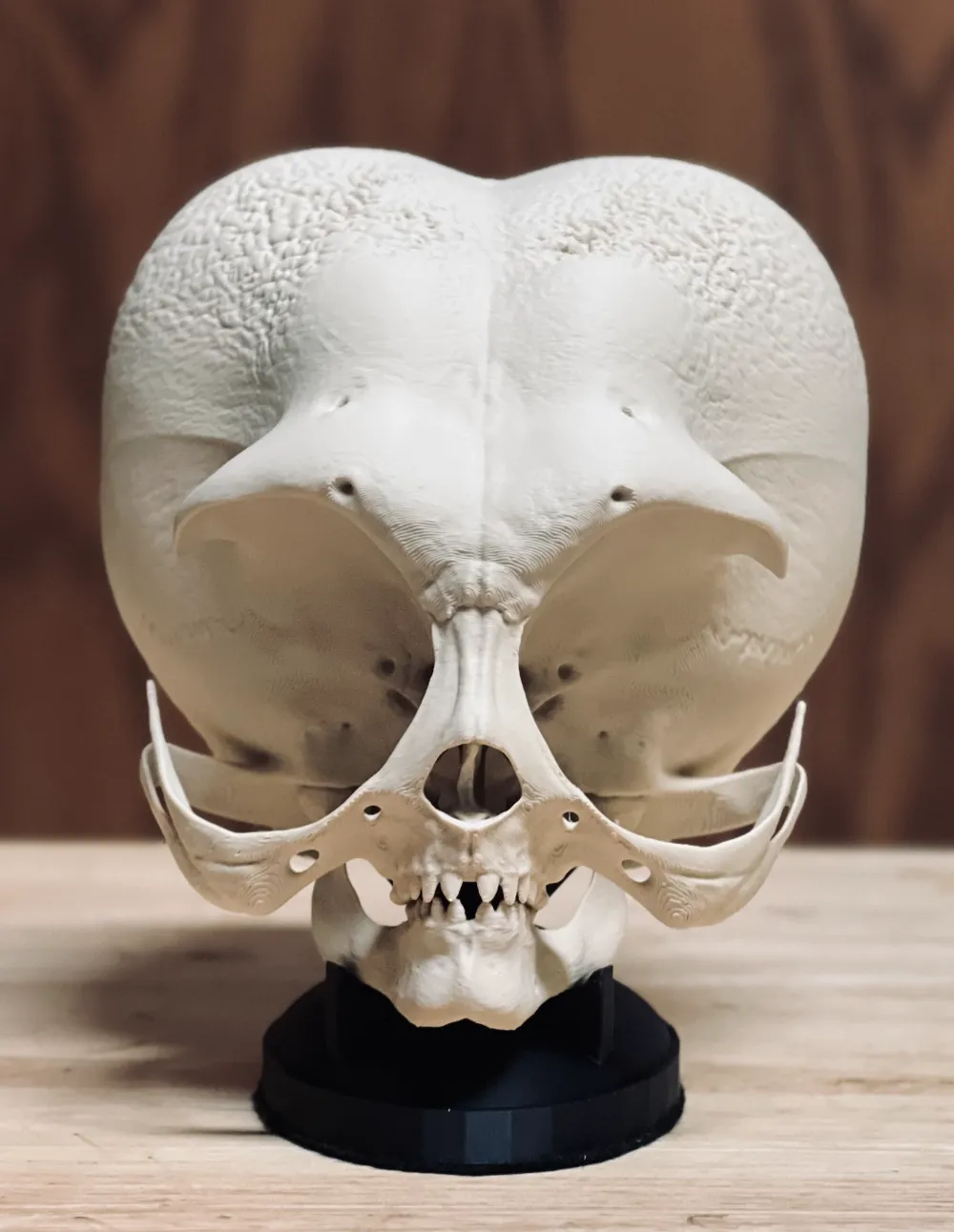Hyperrealistic Alien Skull by idrawcrap - MakerWorld