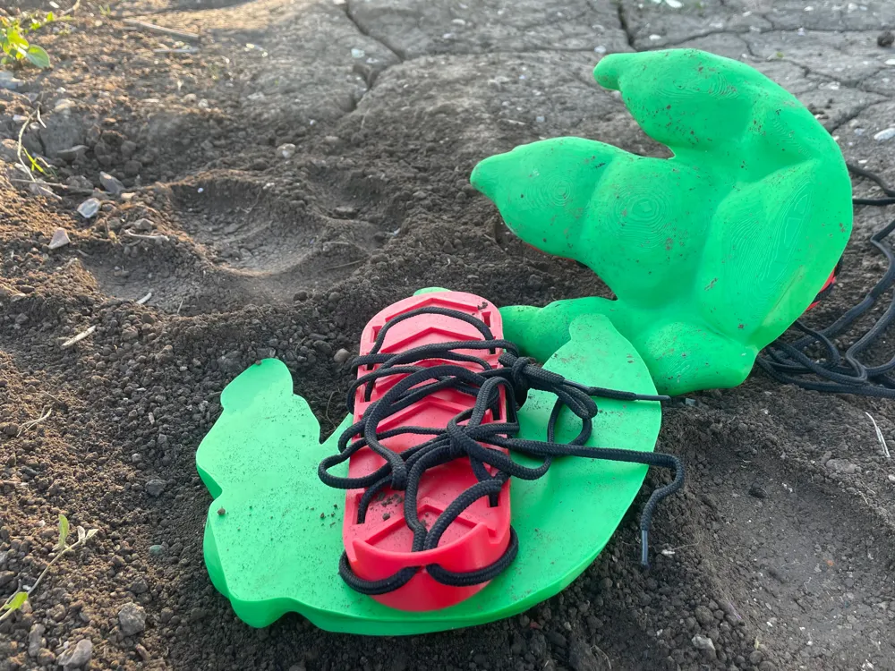 T-Rex Footprint Maker by allinonedesign MakerWorld: Download Free 3D Models