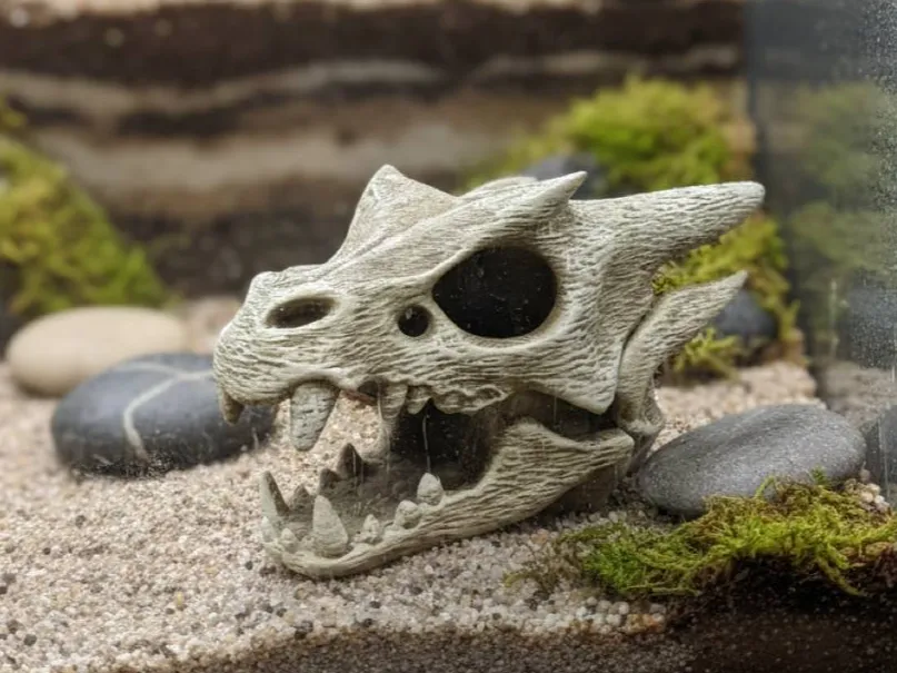Dragon Skull - Free 3D Print Model - MakerWorld