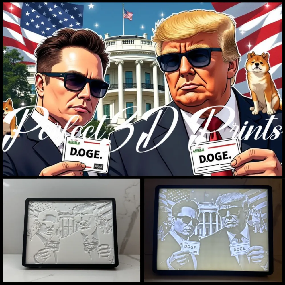 Trump Elon DOGE Department Government Efficiency by Perfect3d Prints ...