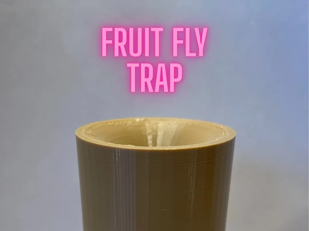 Fruit fly trap - Free 3D Print Model - MakerWorld