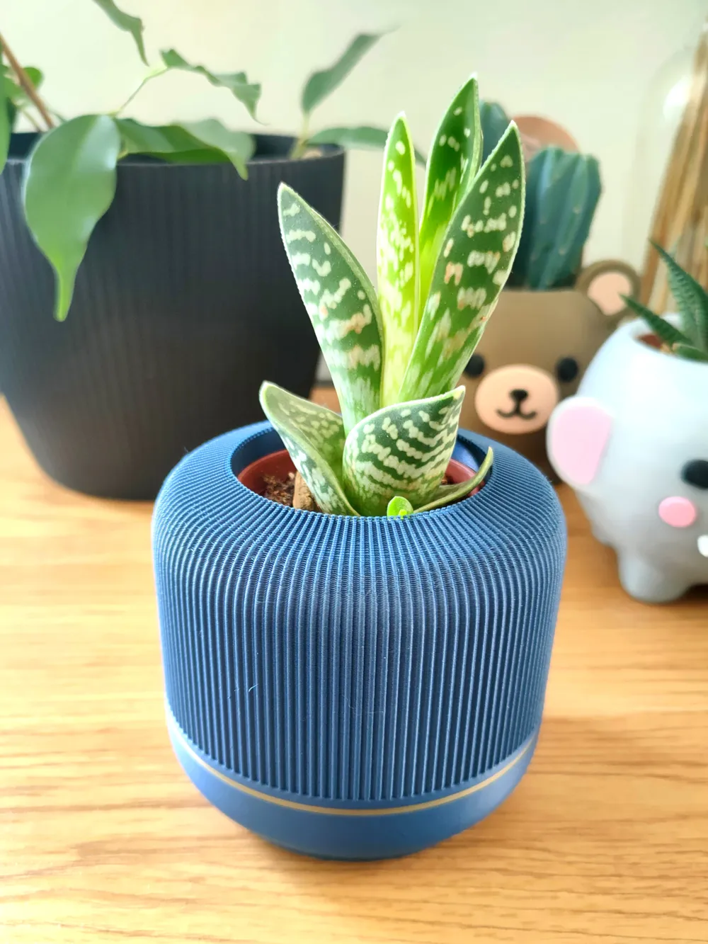 Modern Botanica Planters by sawek MakerWorld: Download Free 3D Models