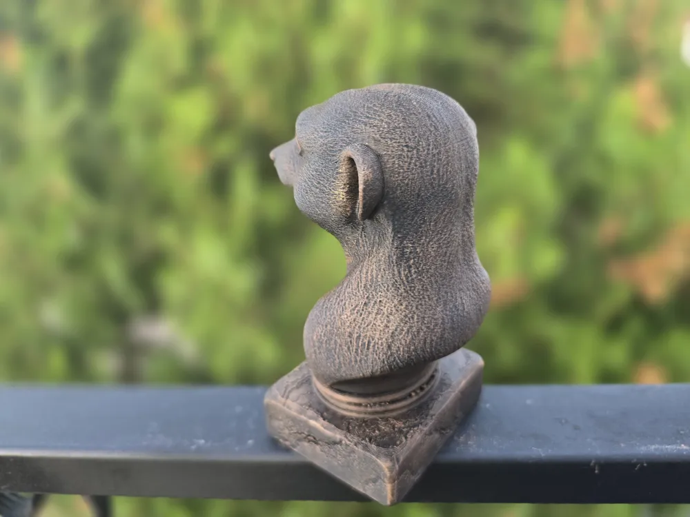 MEERKAT BUST by Messy_Panda MakerWorld: Download Free 3D Models