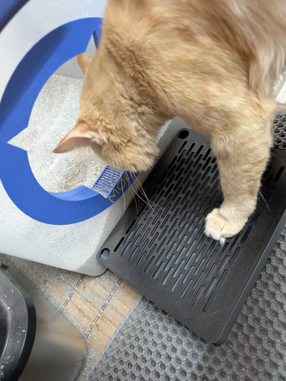 Cat litter step tray - Free 3D Print Model - MakerWorld