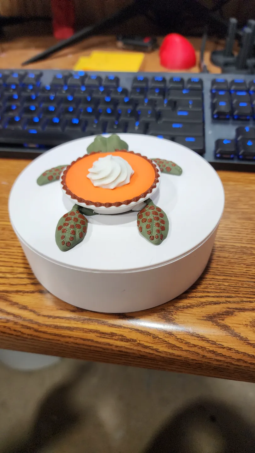 Pieper The Pumpkin Pie Turtle by TCS ThreeD - MakerWorld