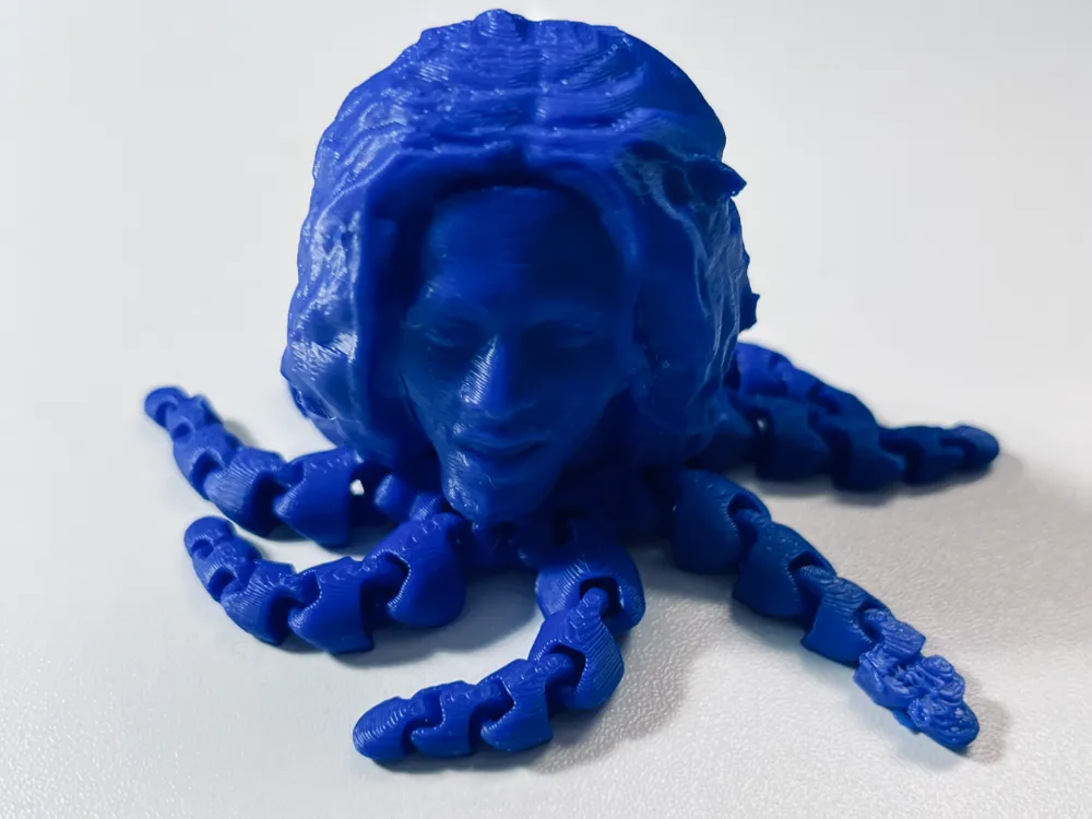 bob Marley octopus Rastapuss - Free 3D Print Model - MakerWorld