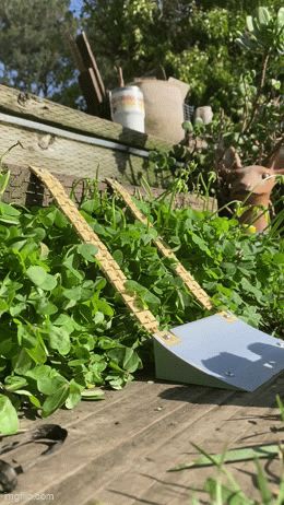 1/18 scale rc crawler ramp and tracks by StevieWander MakerWorld ...