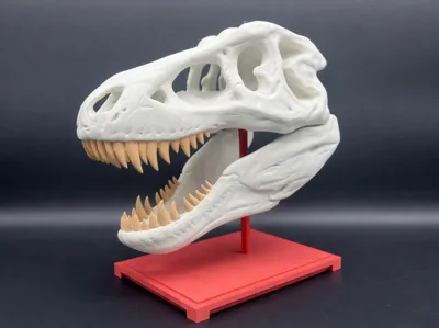 T-Rex Skull - Free 3D Print Model - MakerWorld