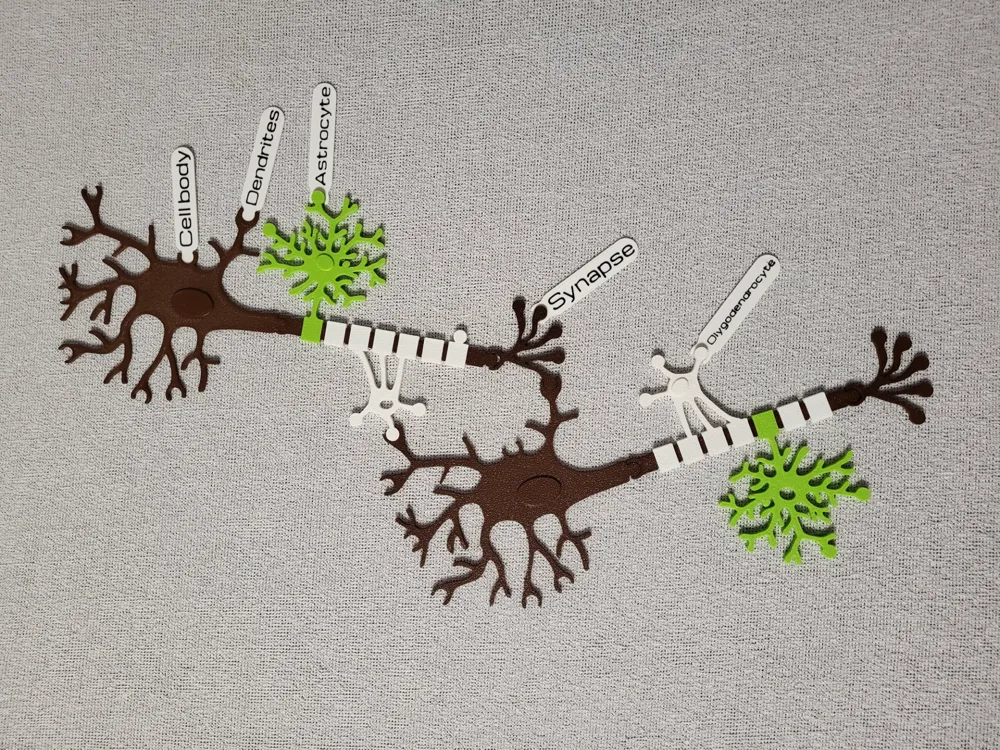 Neuron Architecture by Sobo007 - MakerWorld