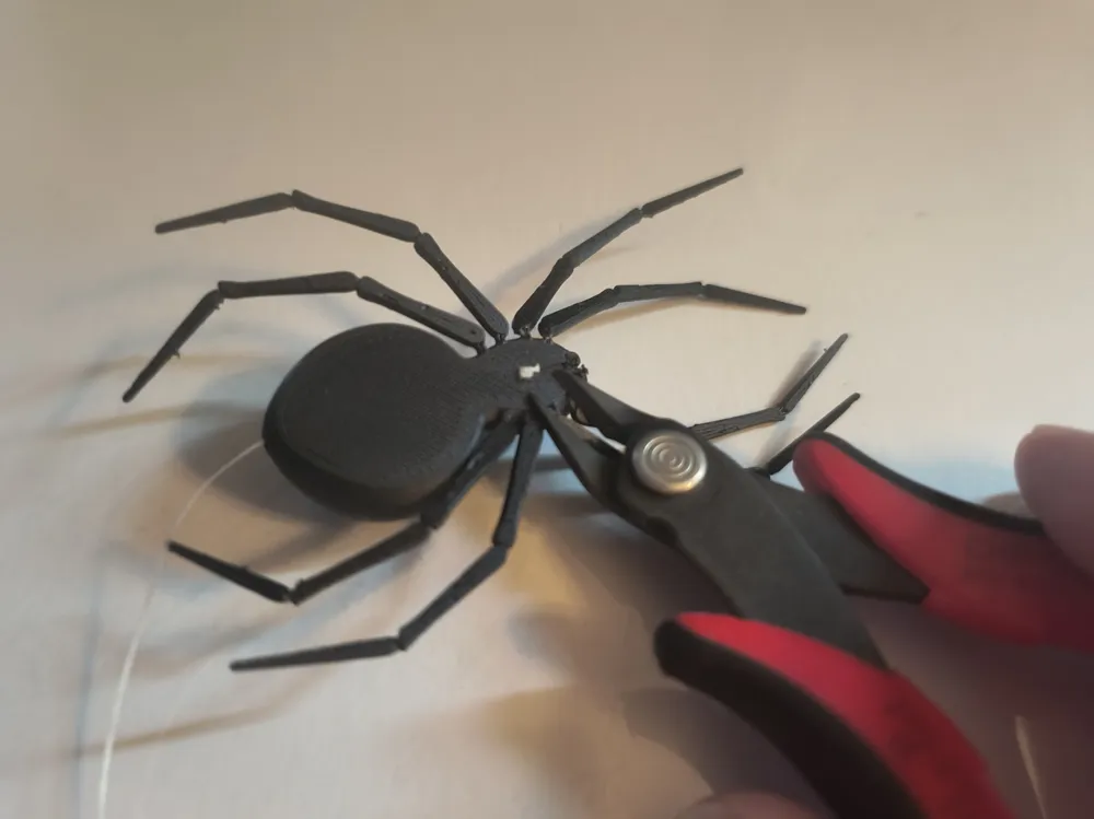 Spider Black Widow Magnetic Magic - Free 3D Print Model - MakerWorld