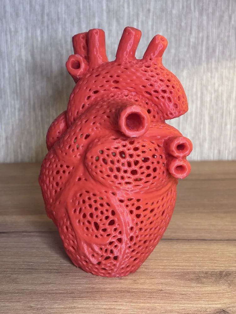Valentines day Anatomical Heart - Free 3D Print Model - MakerWorld