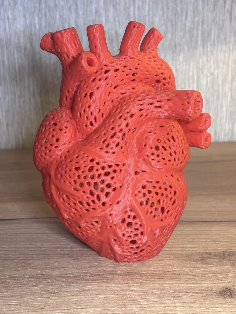 Valentines day Anatomical Heart - Free 3D Print Model - MakerWorld