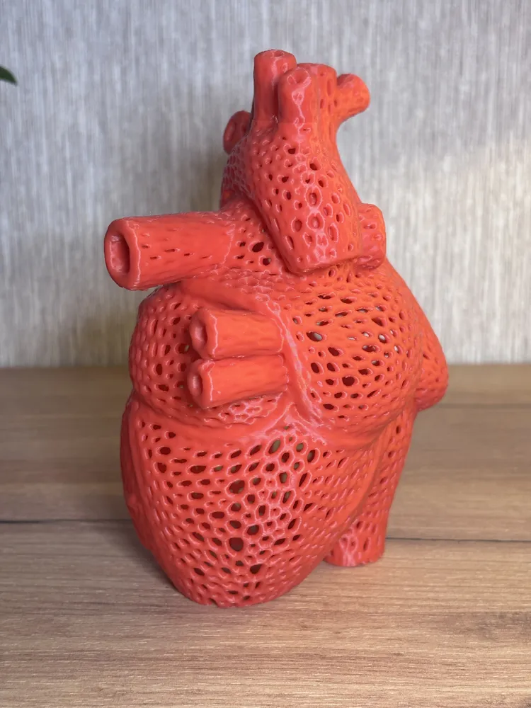 Valentines day Anatomical Heart - Free 3D Print Model - MakerWorld