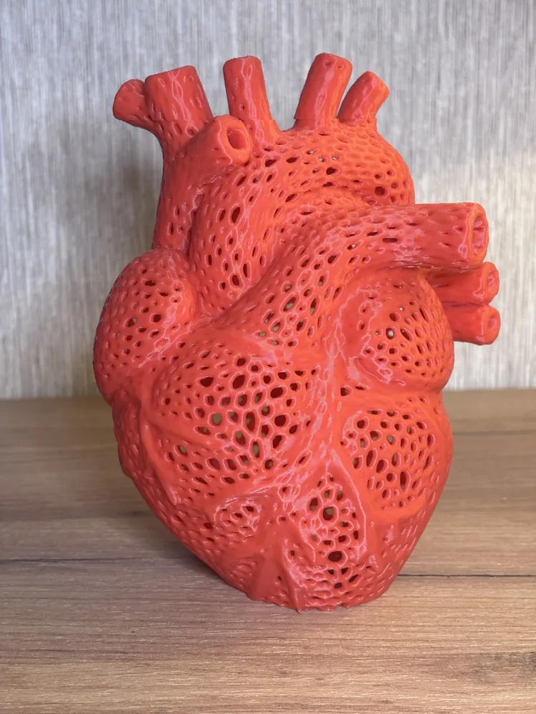 Valentines day Anatomical Heart - Free 3D Print Model - MakerWorld