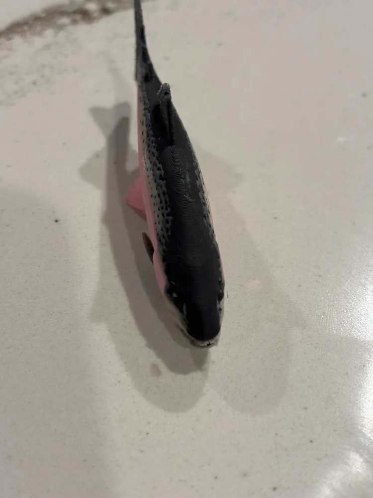 Rainbow Trout - in color for 3d printing - Free 3D Print Model - MakerWorld