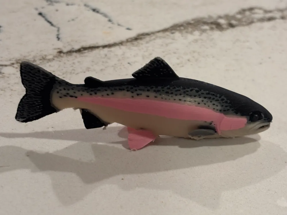 Rainbow Trout - in color for 3d printing - Free 3D Print Model - MakerWorld