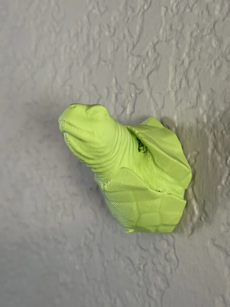 Turtle Head Wall Mount - Free 3D Print Model - MakerWorld
