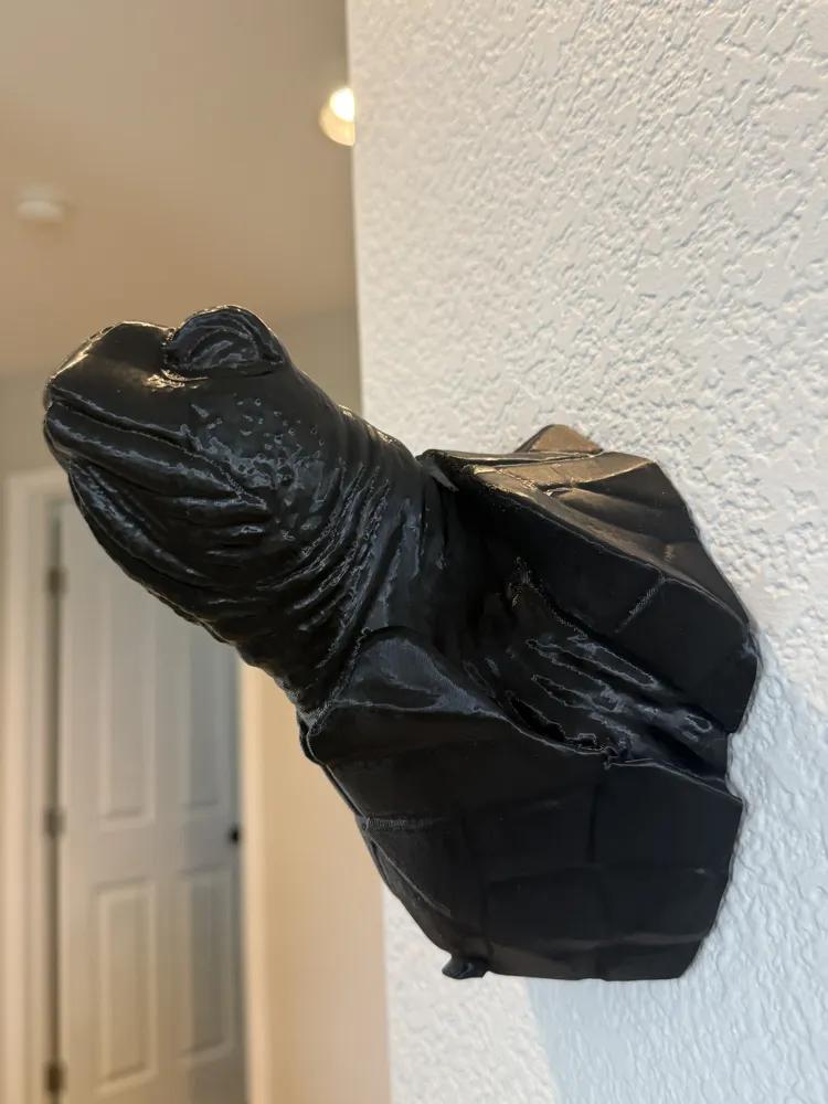Turtle Head Wall Mount - Free 3D Print Model - MakerWorld