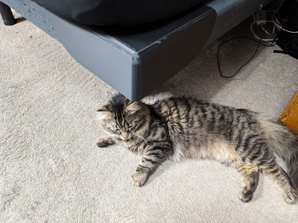 Nectar Bed Corner Protector. Anti-Cat Cover by erikt148 - MakerWorld