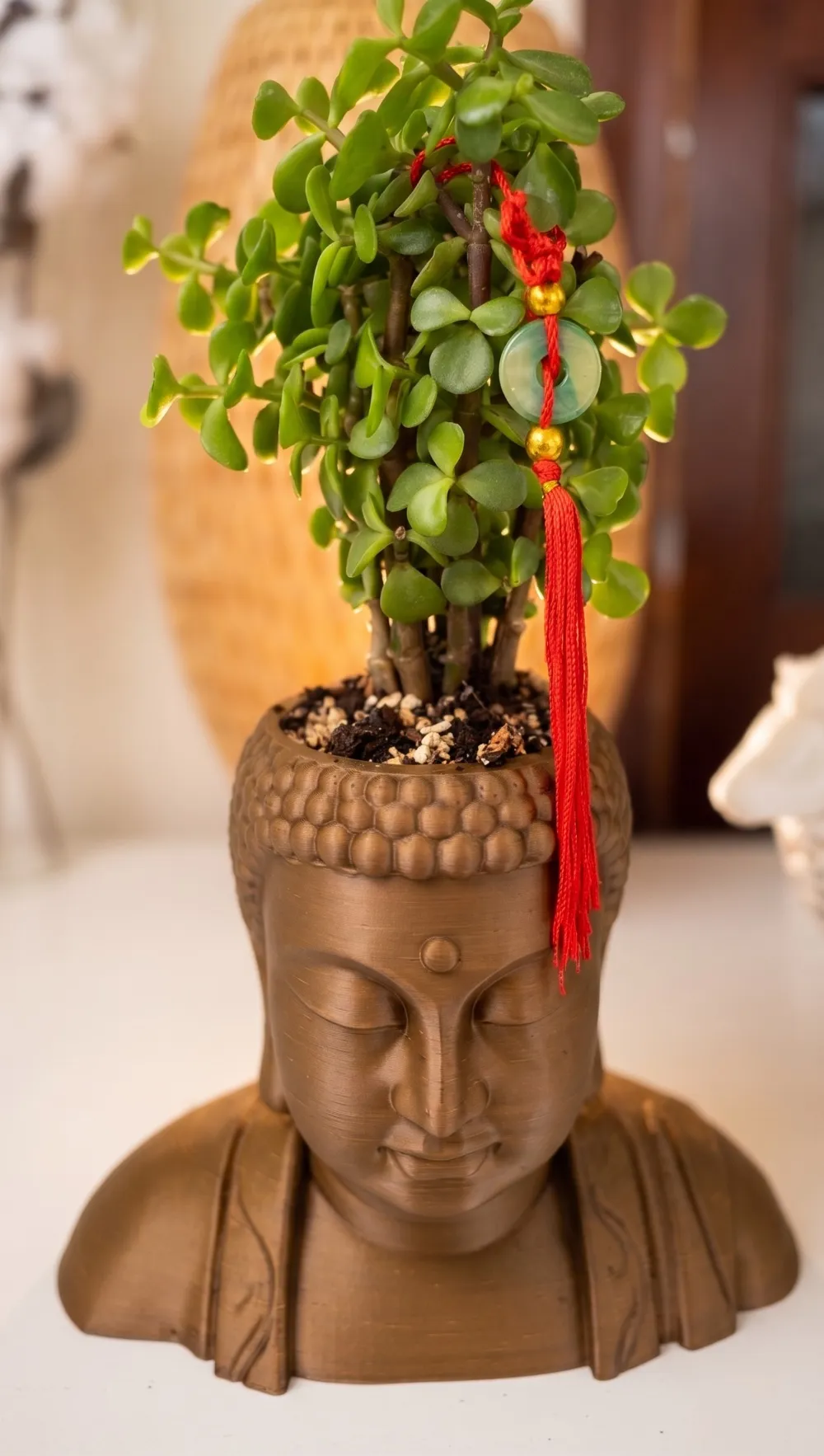Buddha lucy flower pot - Free 3D Print Model - MakerWorld