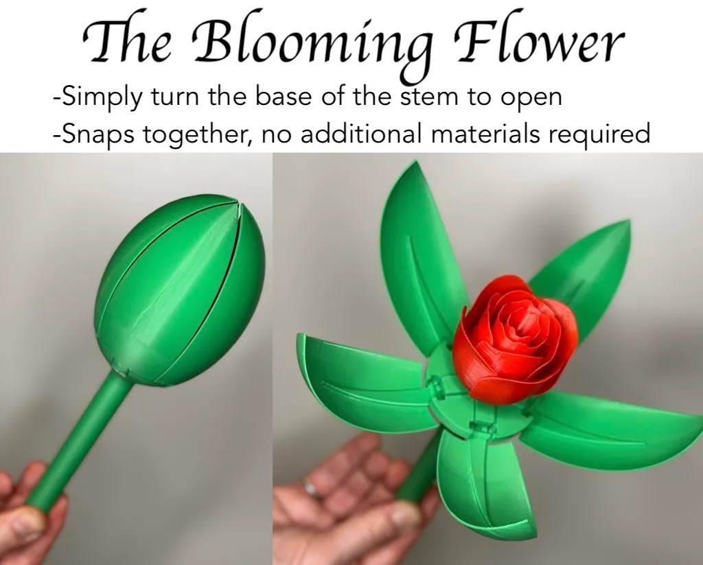 The Blooming Flower - Snaps together! - Free 3D Print Model - MakerWorld
