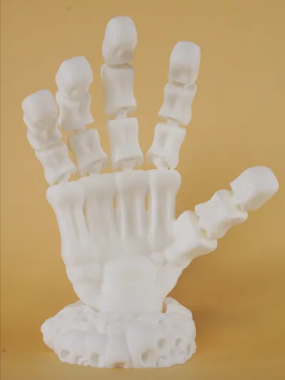 Articulated Skeleton Hand - Free 3D Print Model - MakerWorld