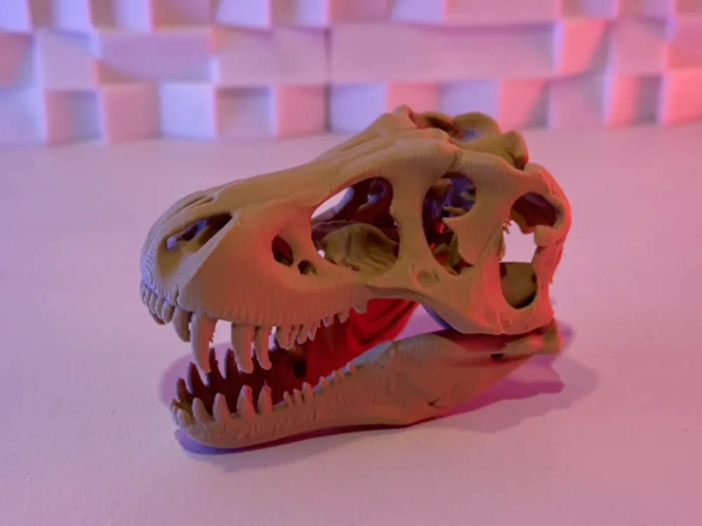 T-Rex Skull (5-25 Grams) by Sven MakerWorld: Download Free 3D Models