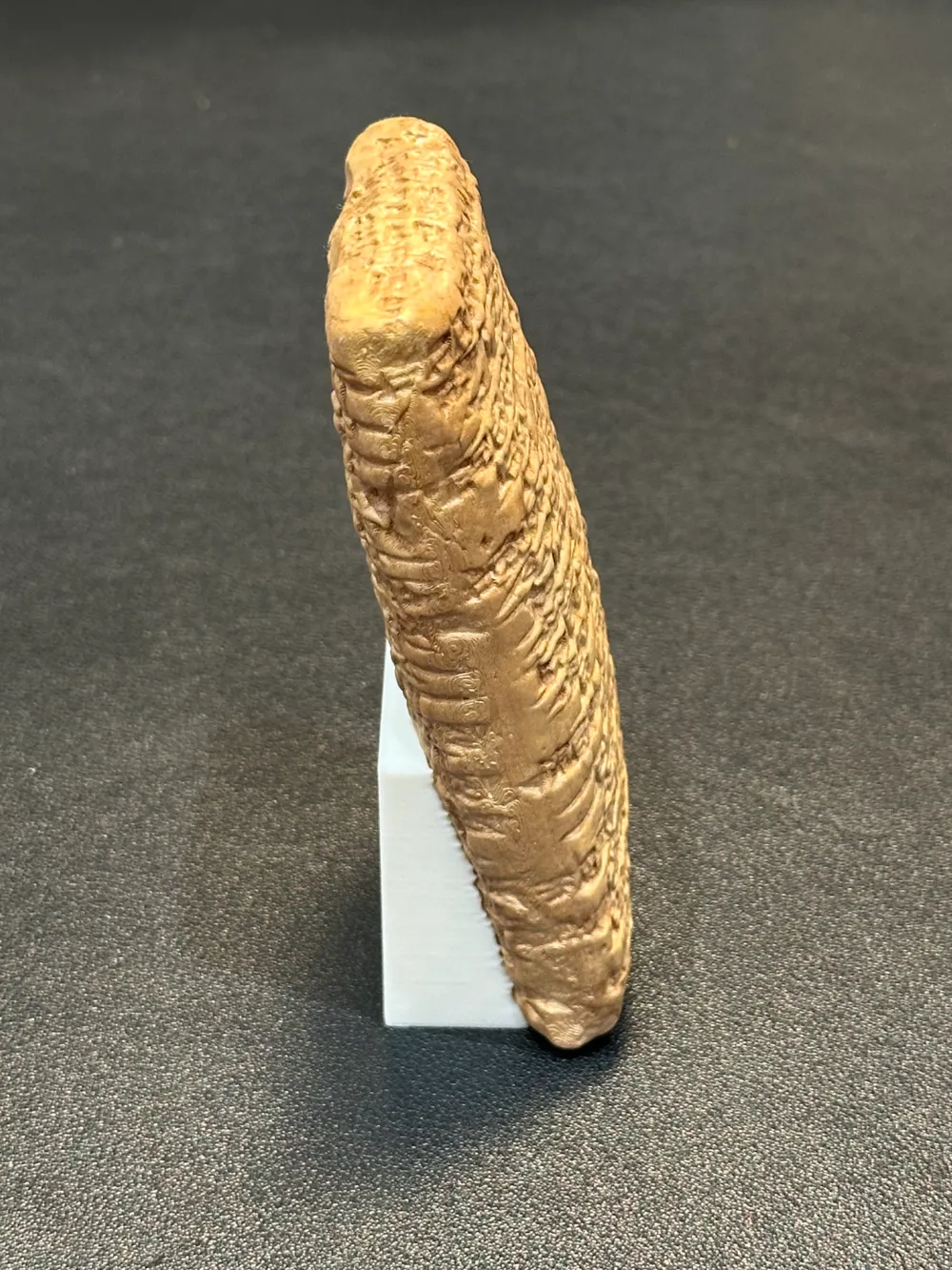 Poor-grade copper complaint cuneiform tablet by FuriousPrinter - MakerWorld