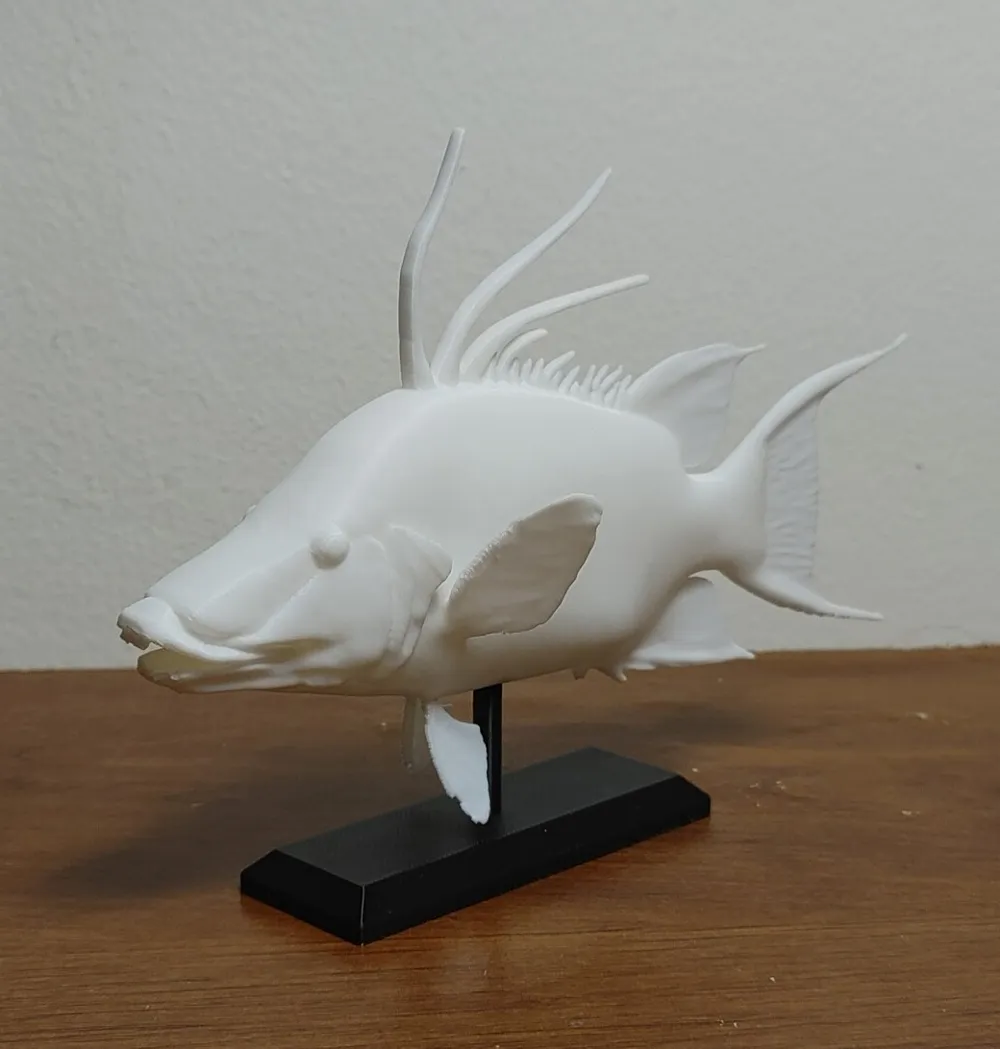 Hogfish Mount - Free 3D Print Model - MakerWorld