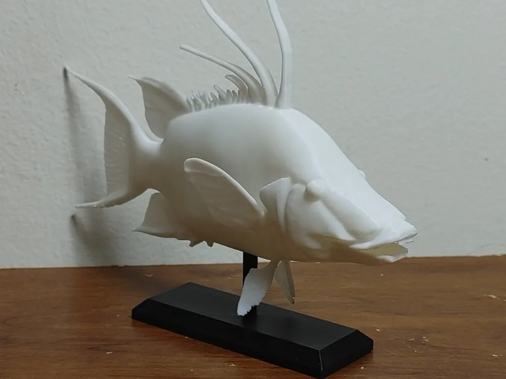 Hogfish Mount - Free 3D Print Model - MakerWorld