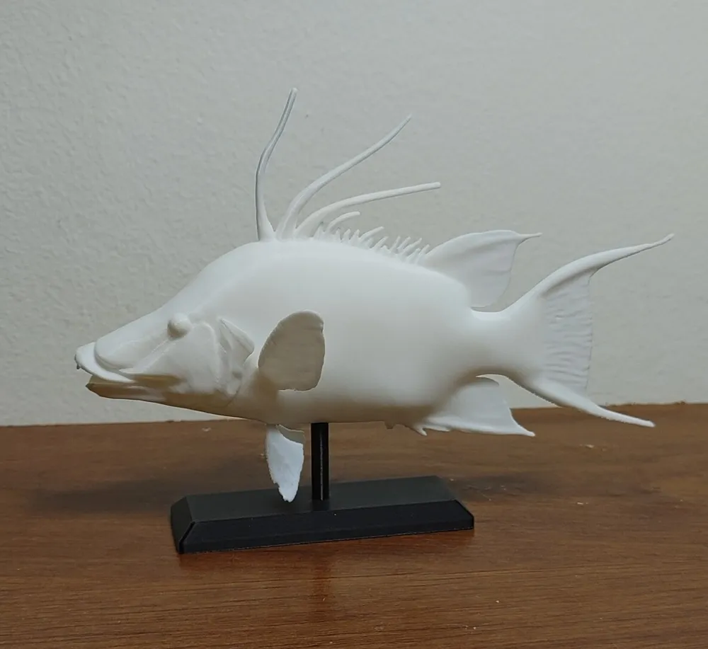 Hogfish Mount - Free 3D Print Model - MakerWorld