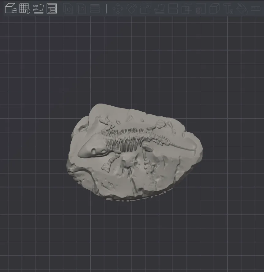 Seymouria Fossil Replica – Educational 3D Model - Free 3D Print Model ...