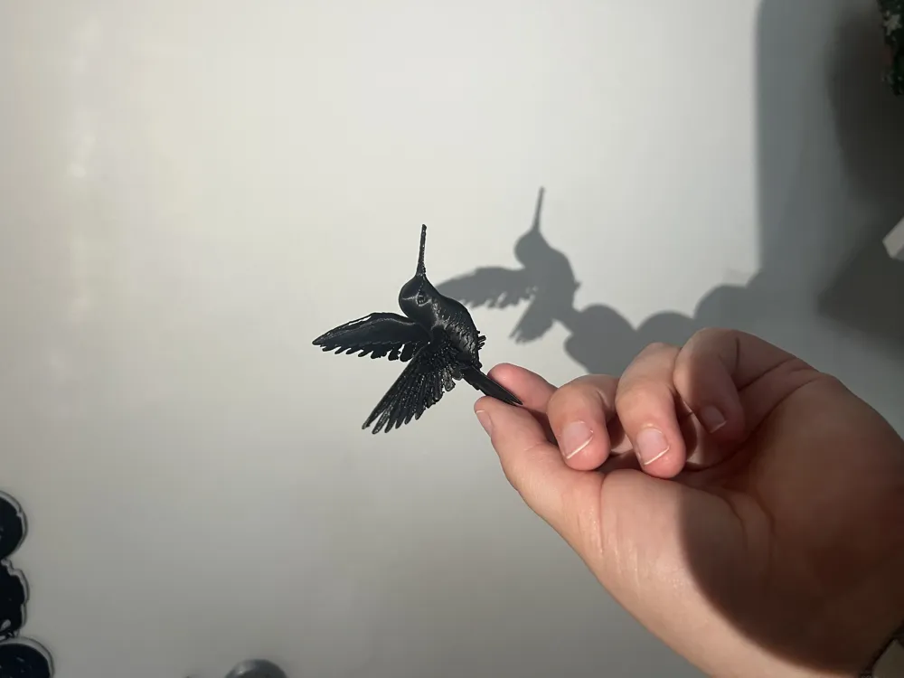 Colibrí magnífica ave - Modelo de impresión 3D gratuito - MakerWorld