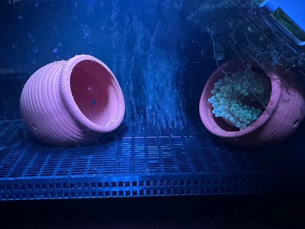 Xiaomi Fish Tank Bottom Filter - Free 3D Print Model - MakerWorld