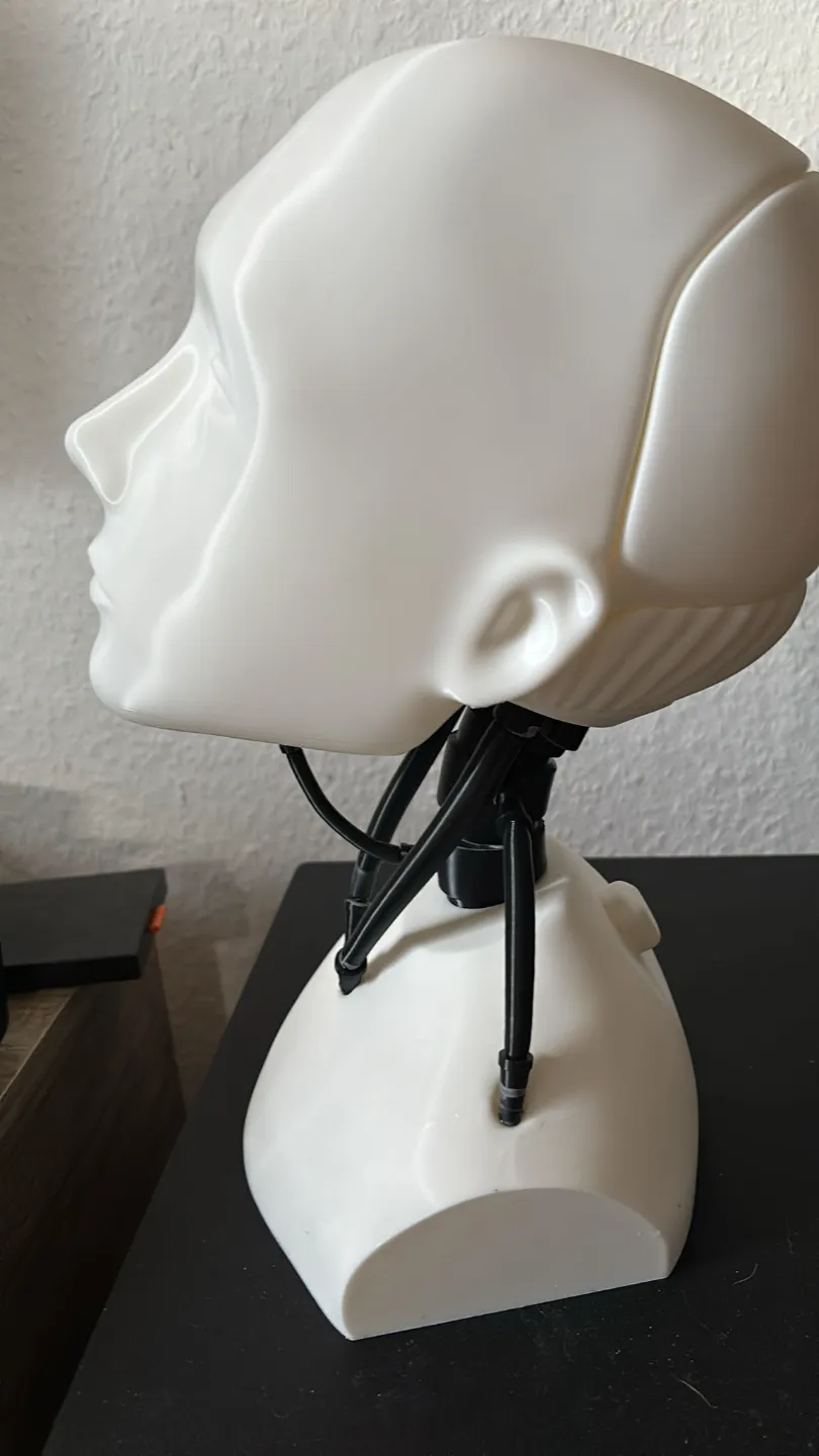 I Robot Sunny by 3D - MakerWorld