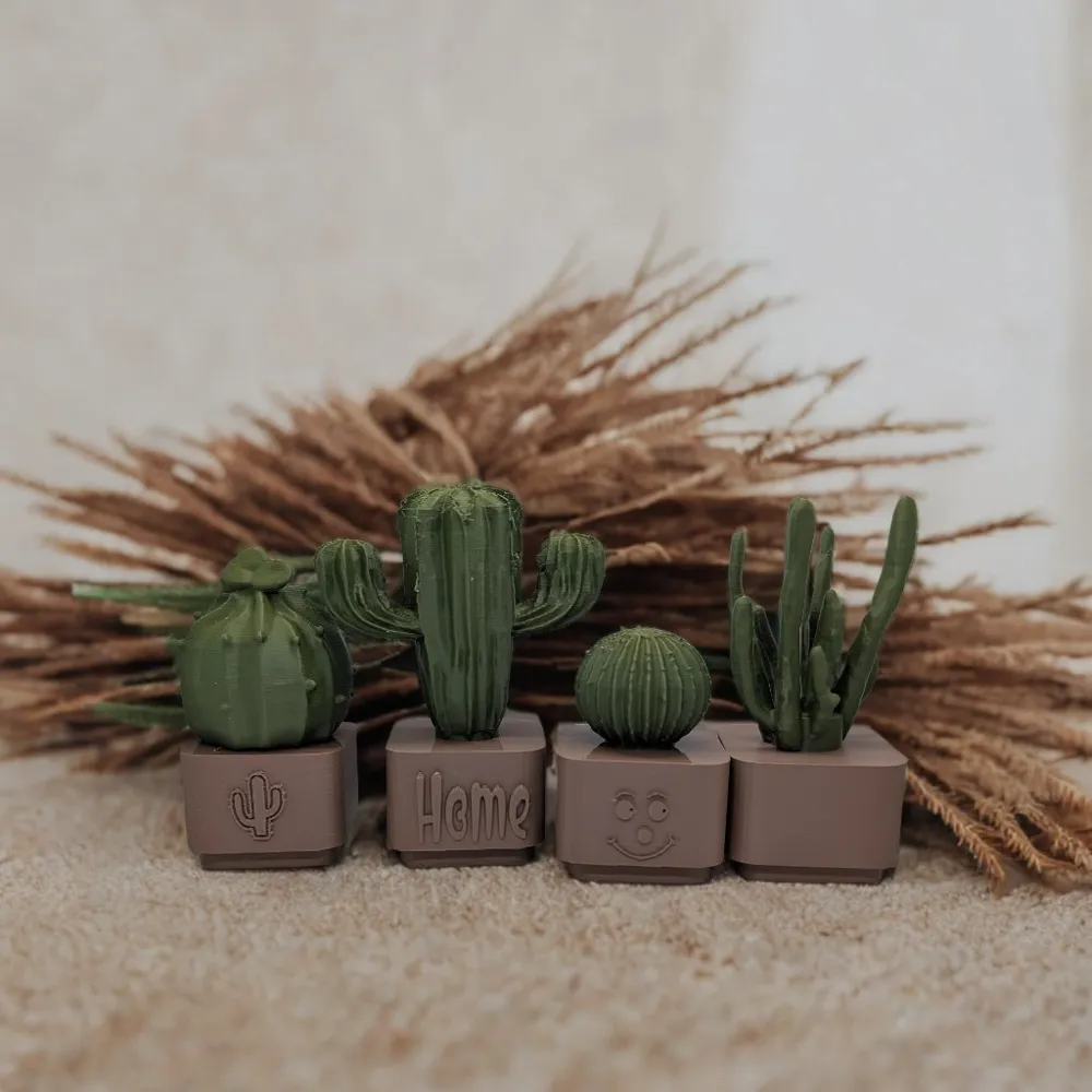 Cactus joy – No AMS And it's customizable. by Handsin3d - MakerWorld