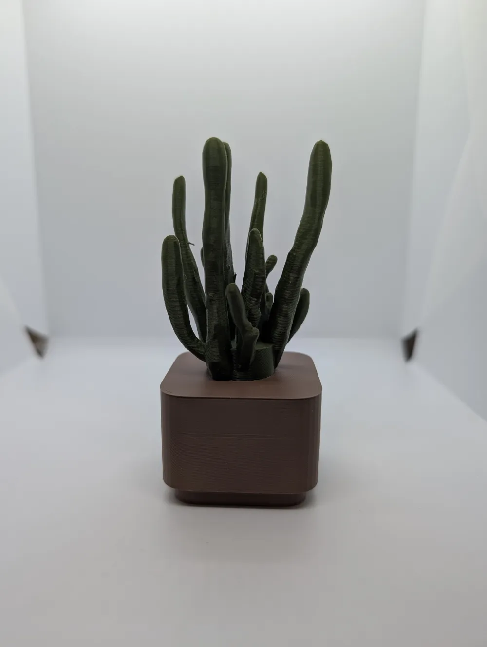 Cactus joy – No AMS And it's customizable. by Handsin3d - MakerWorld