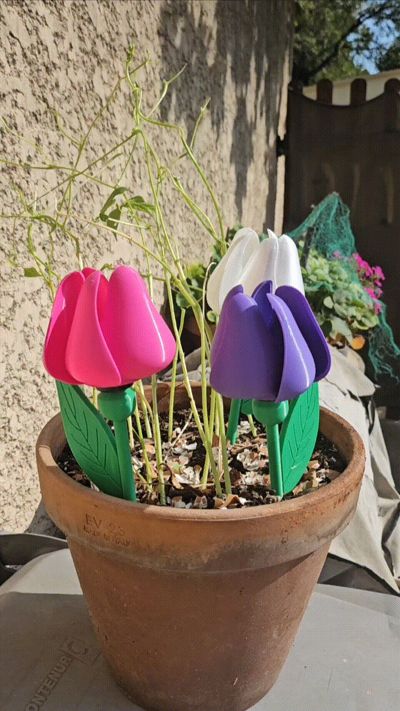 Flower Like Windmill by GollwiMakerWorld: Download Free 3D Models