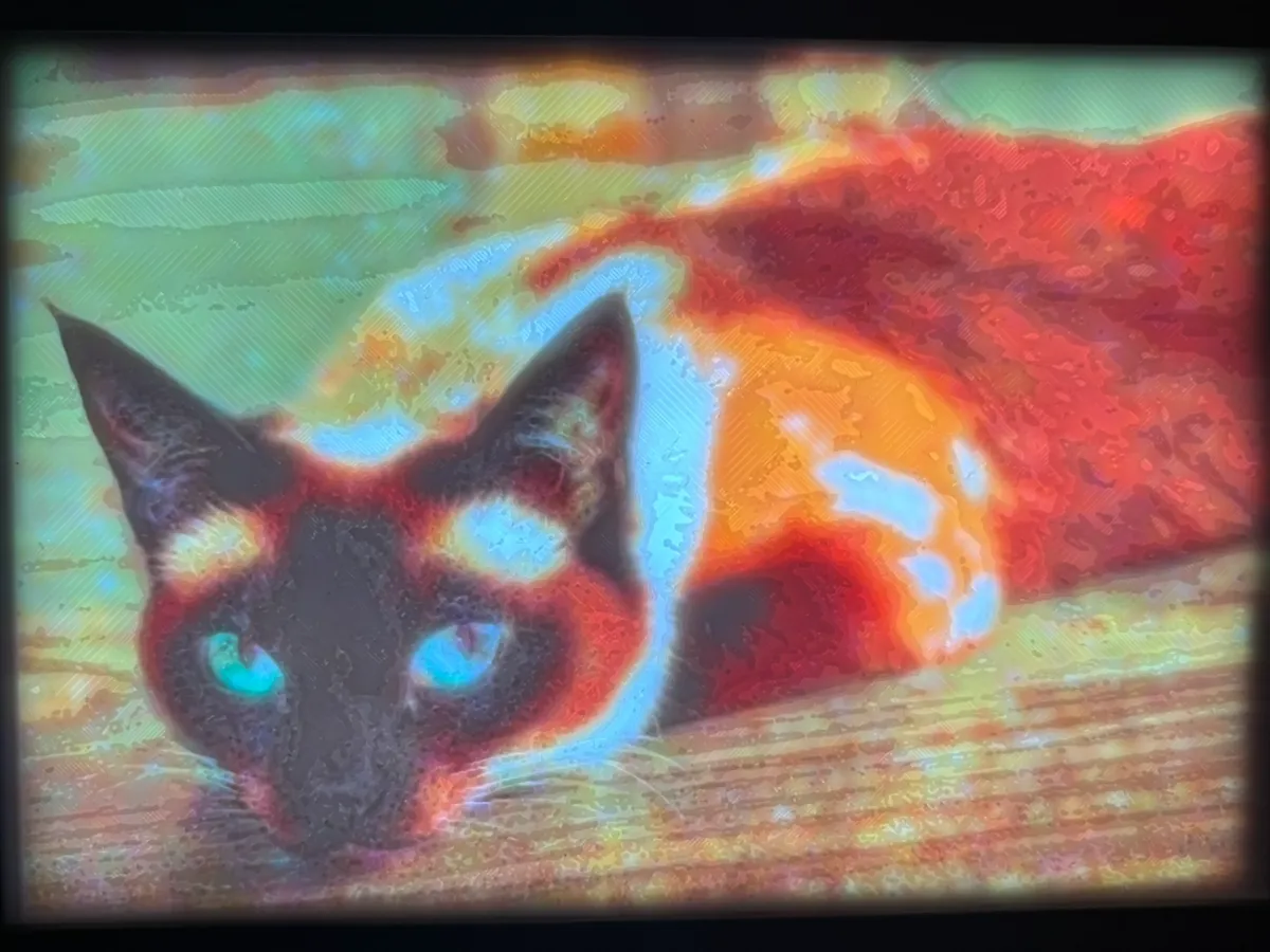 siamese cat lithophane - Free 3D Print Model - MakerWorld